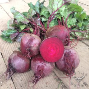 Beetroot Seeds - Vital Seeds - UK seeds for gardeners and growers