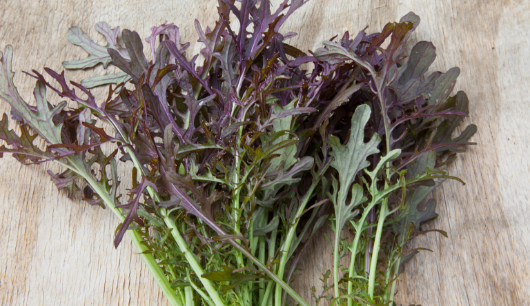 Asian Greens - Purple Frills | Vital Seeds