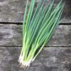 Spring onion seeds - Vital Seeds - UK organic seeds for your garden