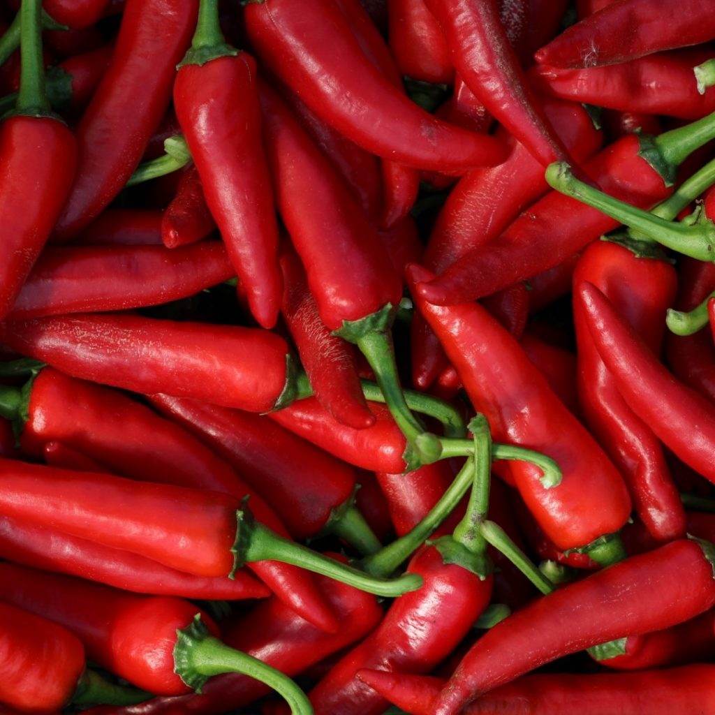 Chilli - De Cayenne (Organic) - Vital Seeds