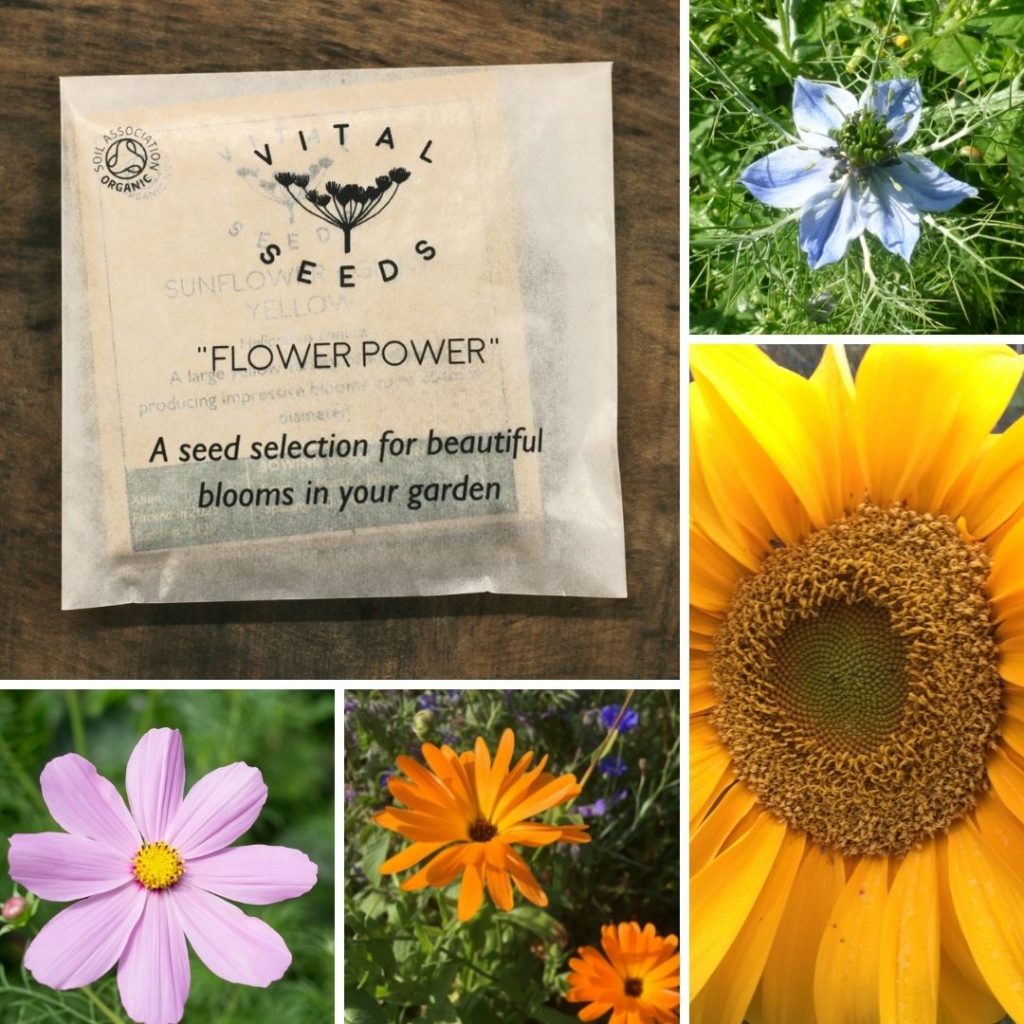 "Flower Power" Seed Collection - Vital Seeds