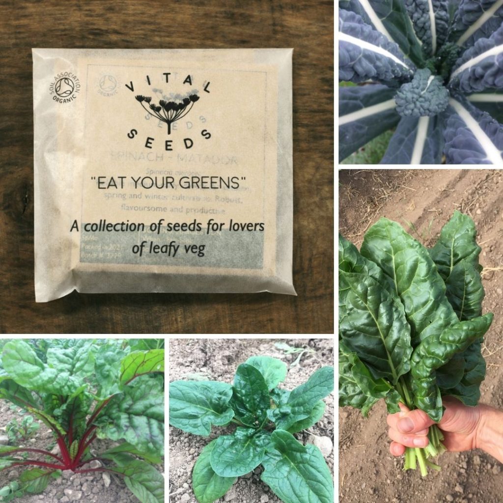 Seed Collections - Vital Seeds - Fantastic collections of organic seeds