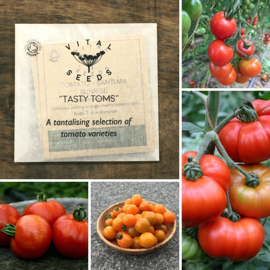 Seed Collections - Vital Seeds - Fantastic collections of organic seeds