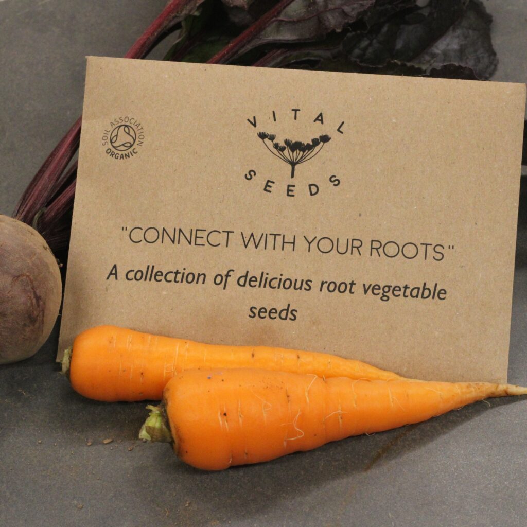"Connect with Your Roots" Seed Collection - Vital Seeds