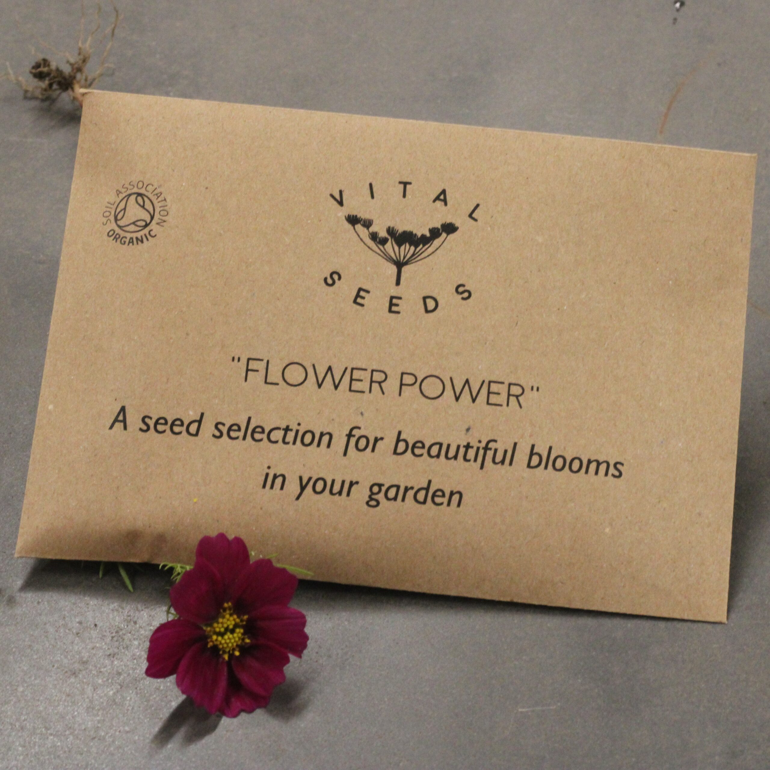 "Flower Power" Seed Collection - Vital Seeds