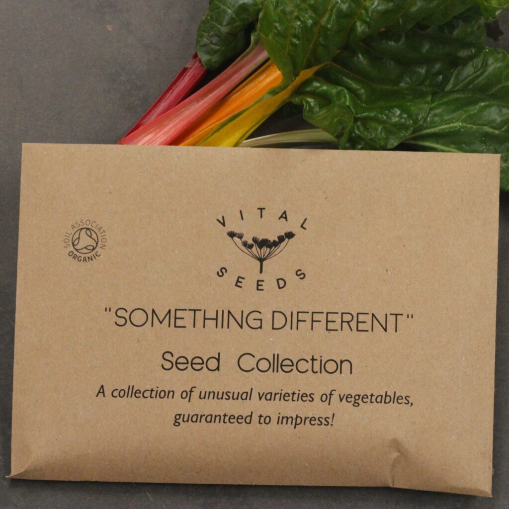 "Something Different" Seed Collection - Vital Seeds