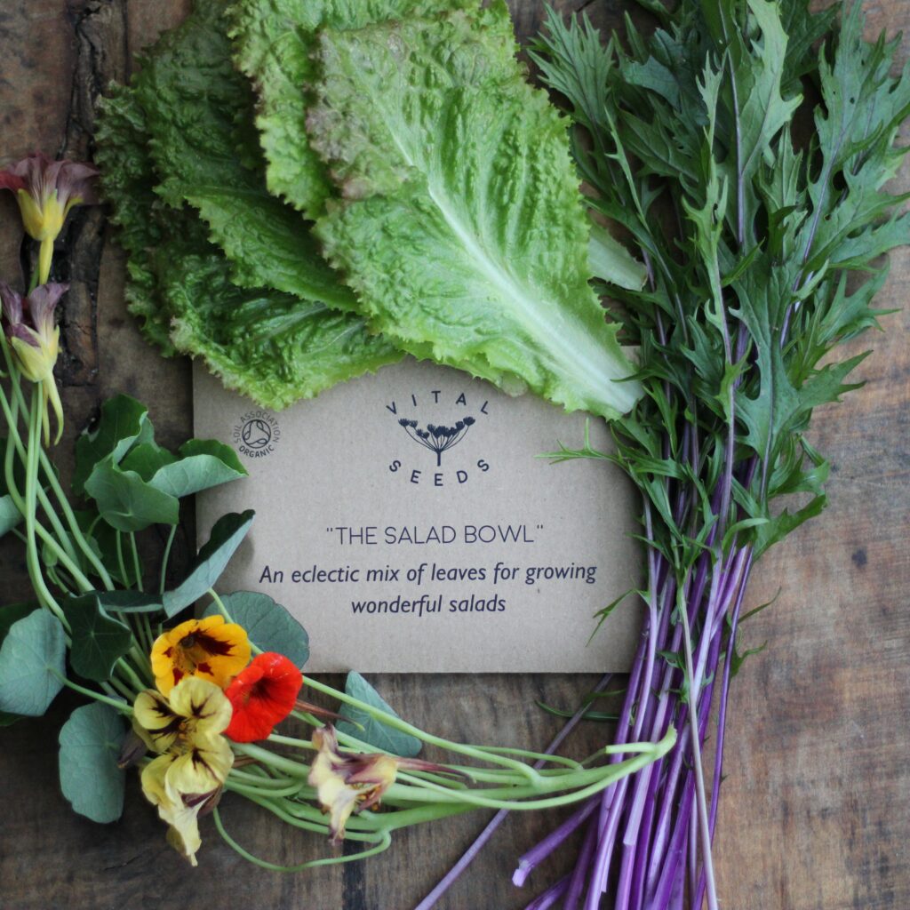 Seed Collections - Vital Seeds - Fantastic collections of organic seeds