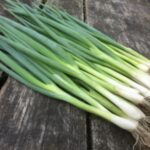 How to grow spring onions - Vital Seeds